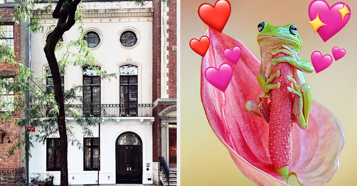 Design An Apartment To See Which Frog You Are Quiz