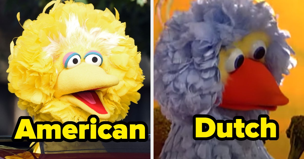 big bird description