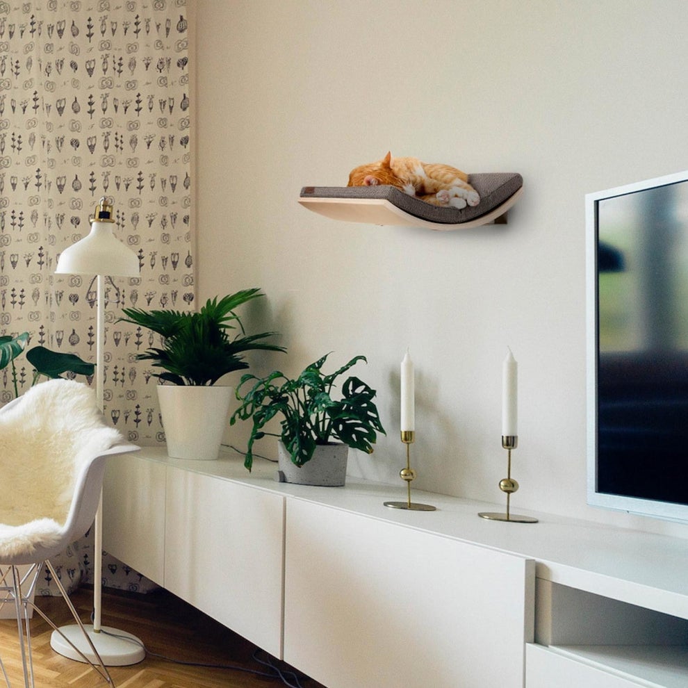 29 Practical Cat Products For Pet Owners