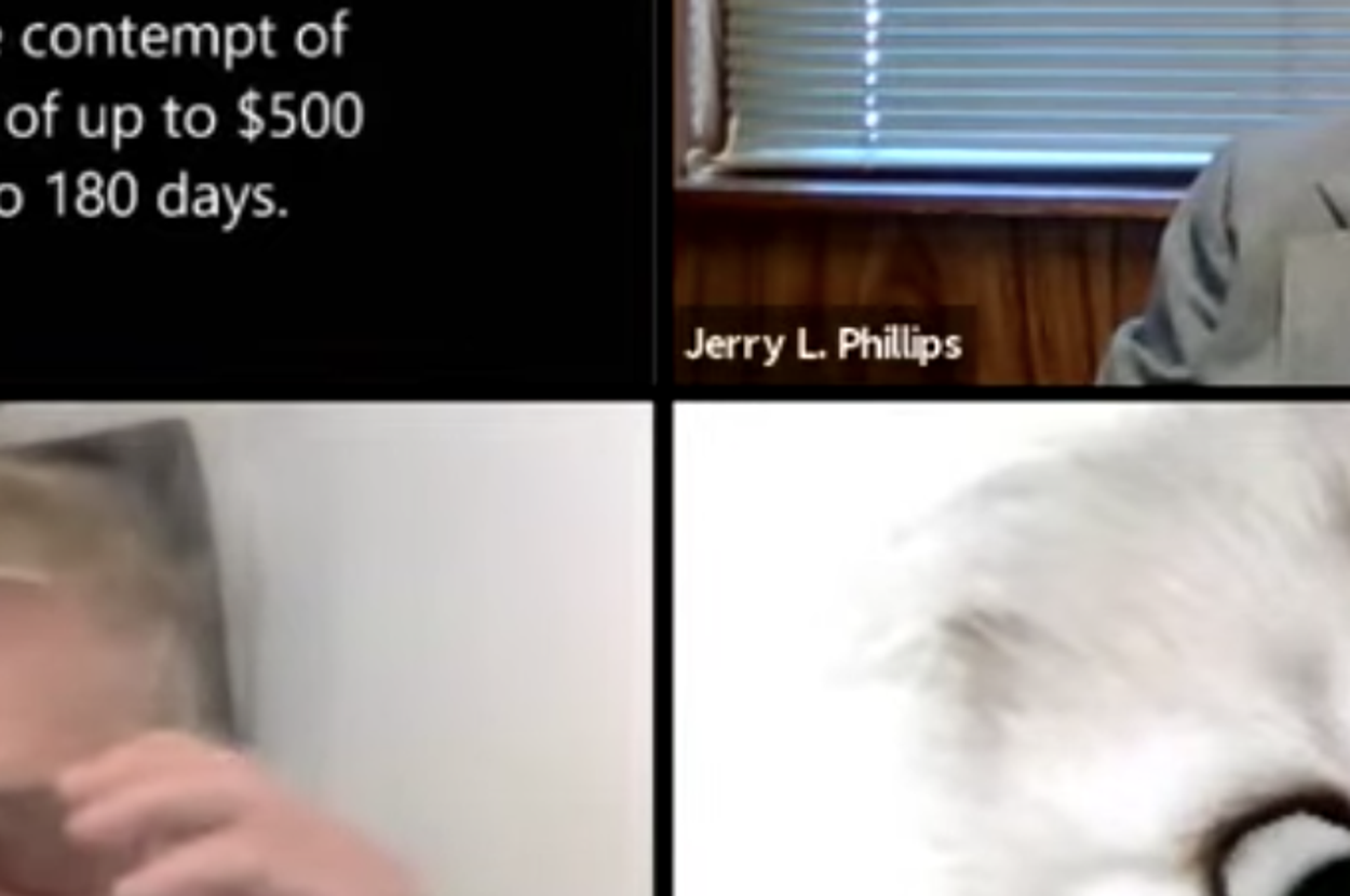 Cat Filter Lawyer Shows Up To Zoom Court Hearing