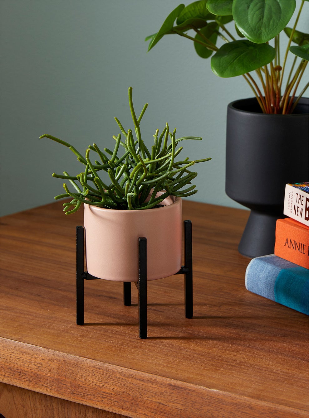 Cool And Random Thing From Simons Canada