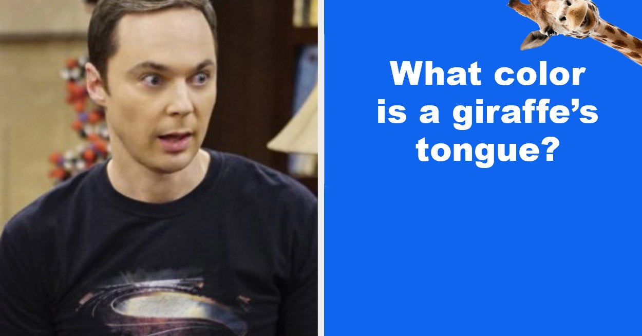 Random Knowledge Trivia Quiz Will Test Your Memory