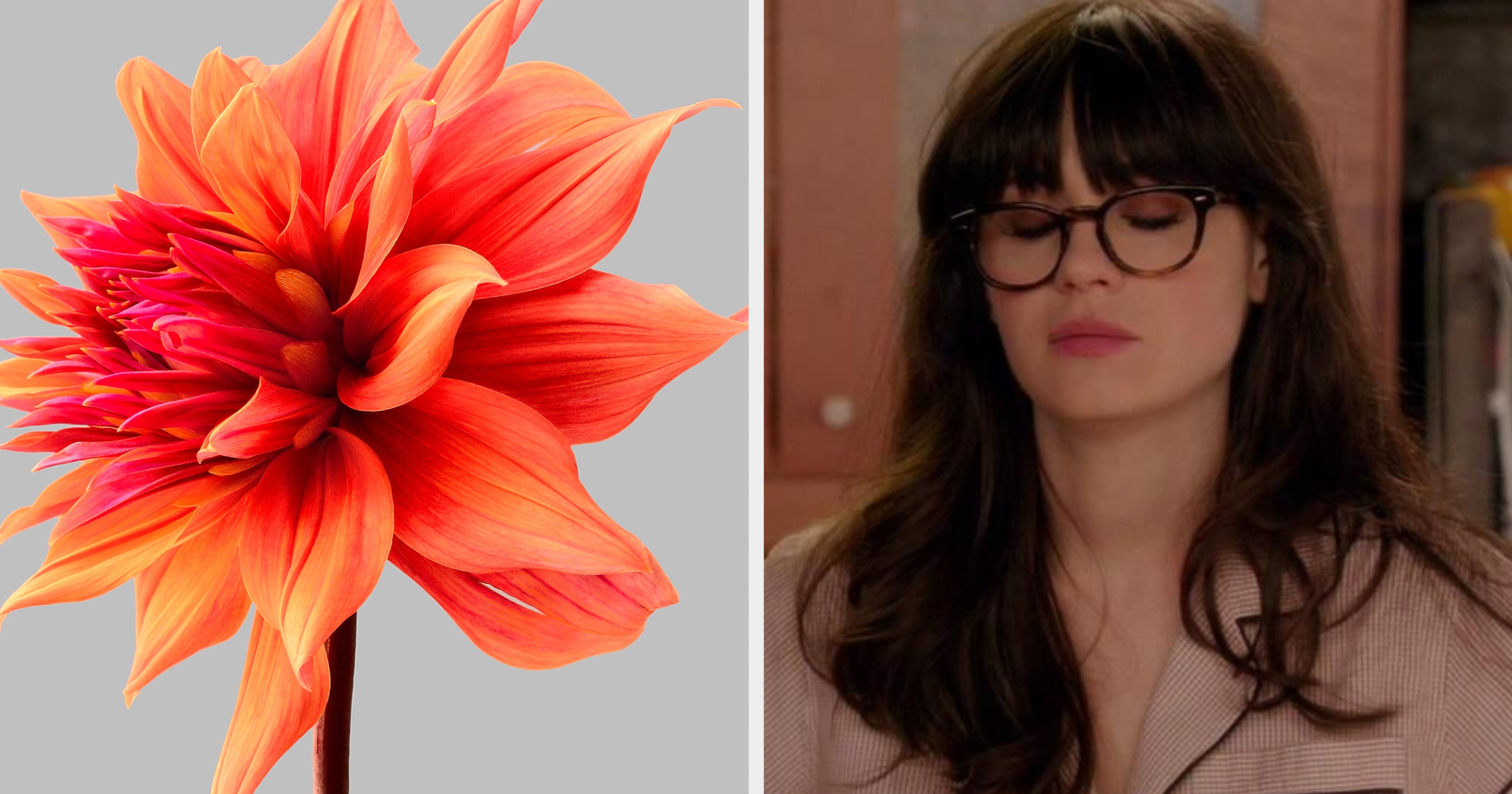 This Random Image Quiz Will Reveal Which "New Girl" Character You Are