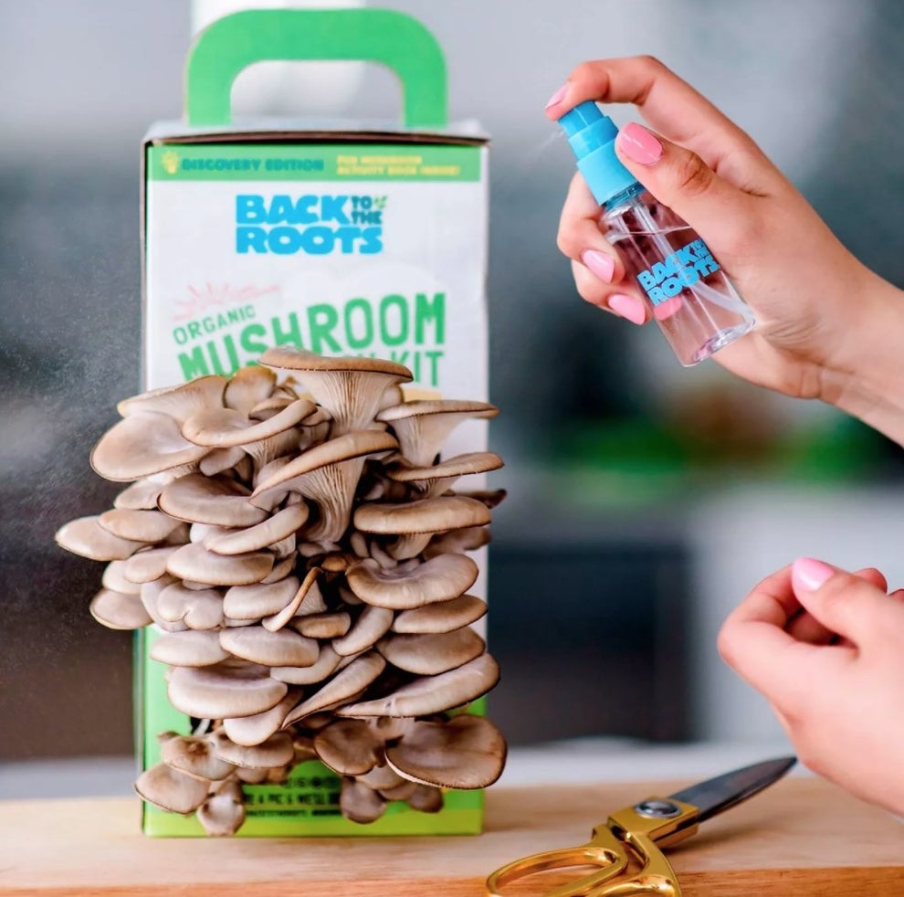 31 Target Products That Are Totally Underrated