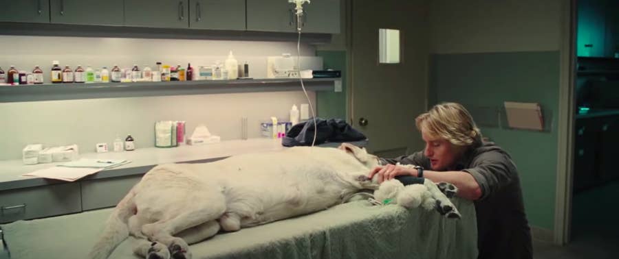 Marley And Me Movie Scenes