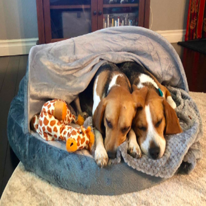 27 Cozy Products To Cuddle With