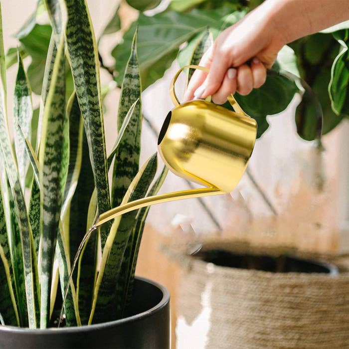 Products You'll Probably Love If You Get Way Too Excited About Plants