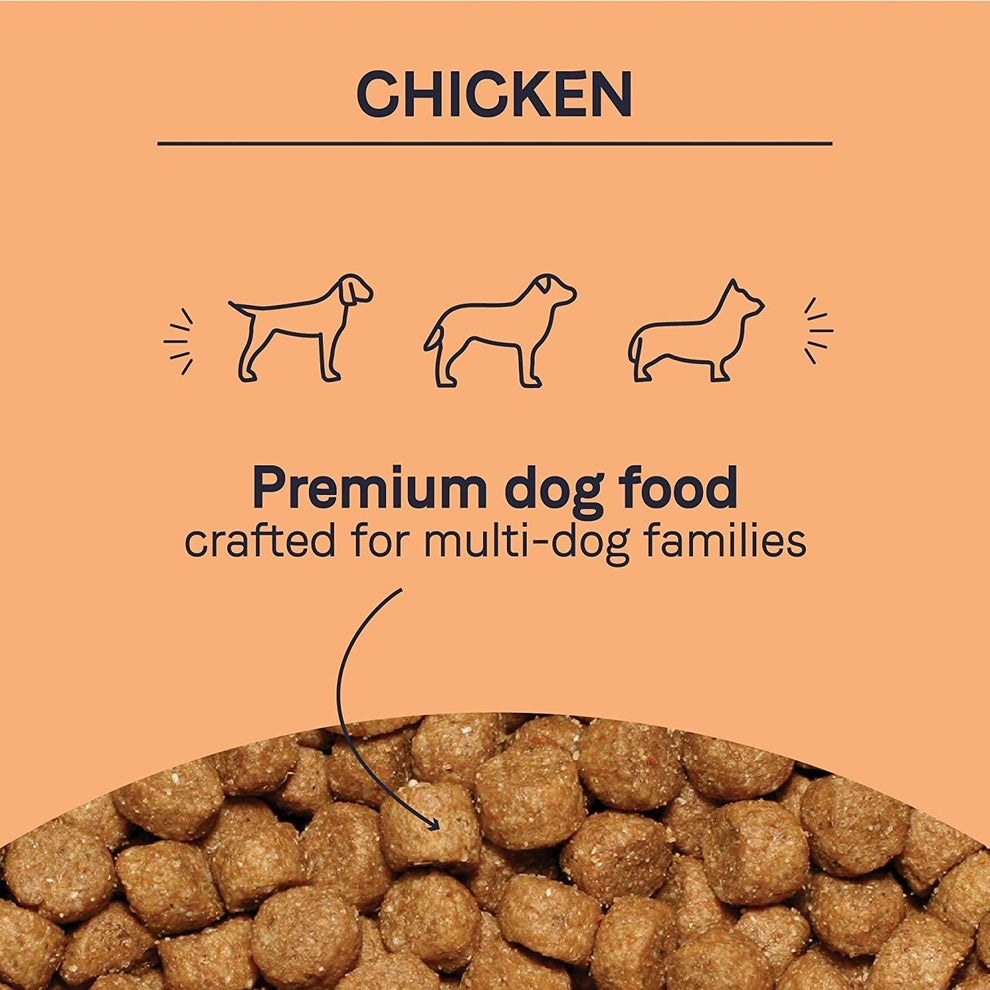 25 Products You'll Love If Your Dog Is Your Best Friend
