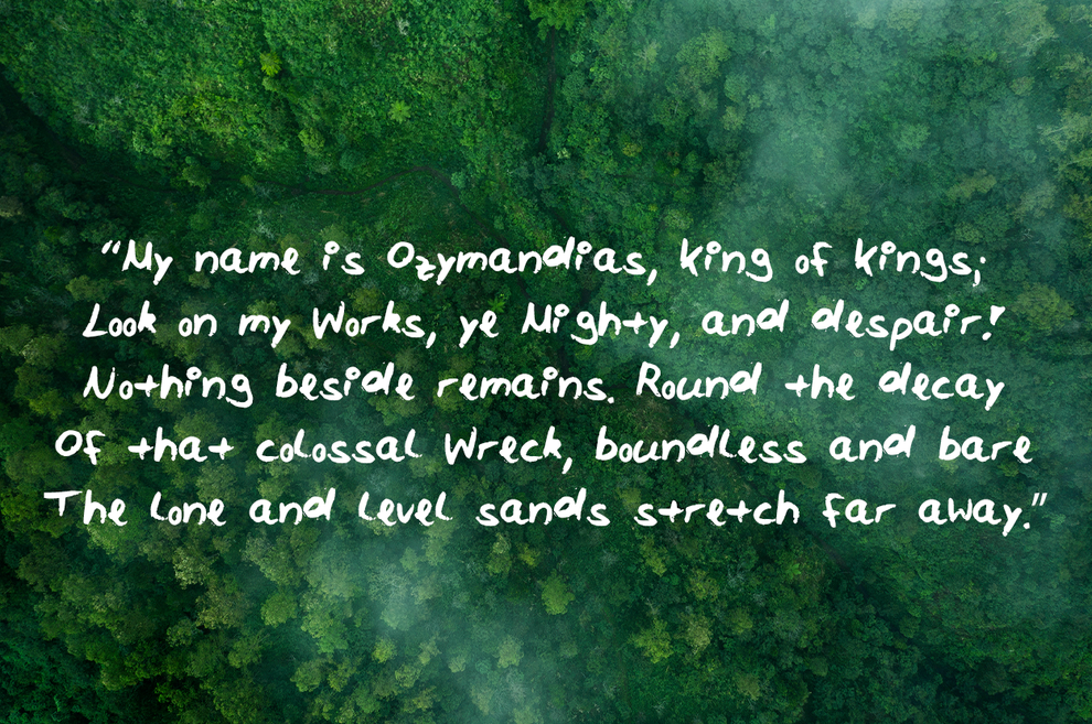 To Celebrate World Poetry Day, Here Are 27 Amazing Poems