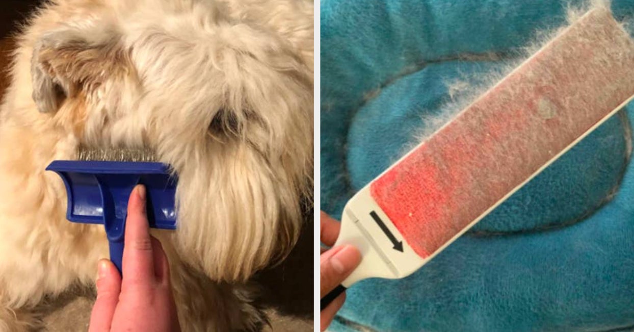 19 Amazon Products To Protect Your Home From Shedding