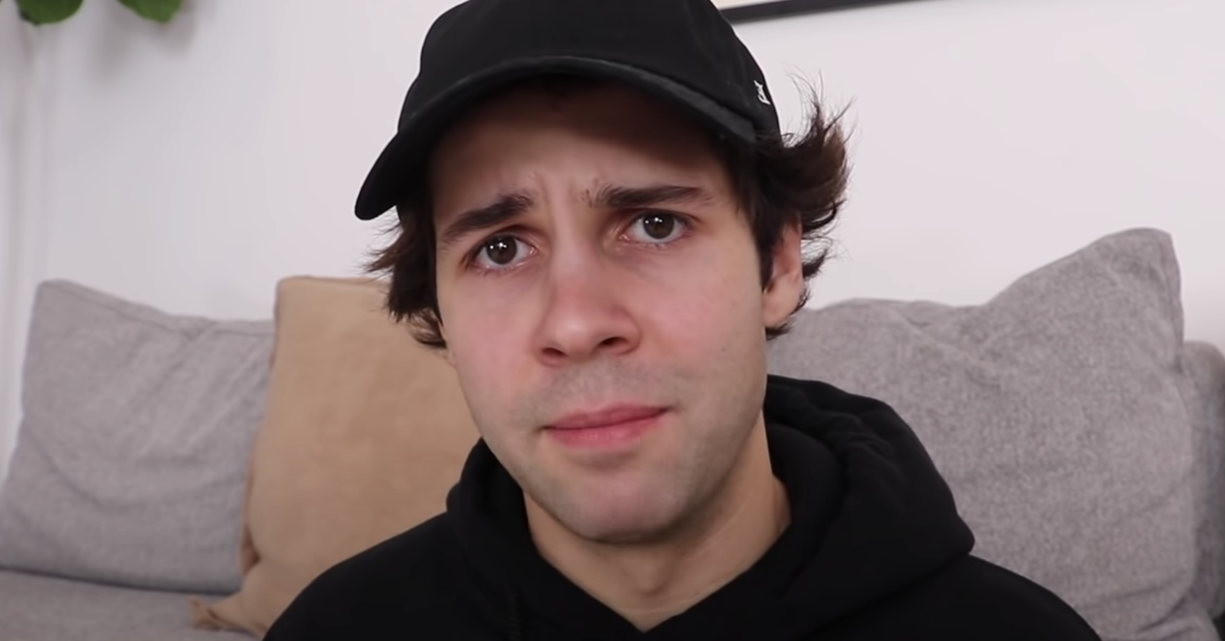 David Dobrik Addresses Vlog Squad Assault Allegations In Second Video