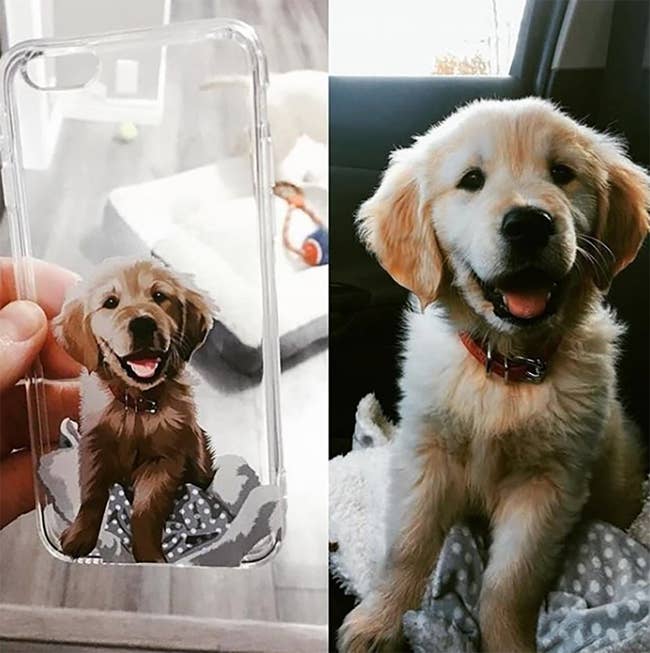 35 Cute Phone Cases For Protection And Aesthetics