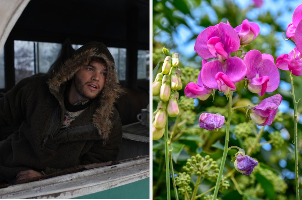 IRL Stories Vs 'Based On Real Life' Movies