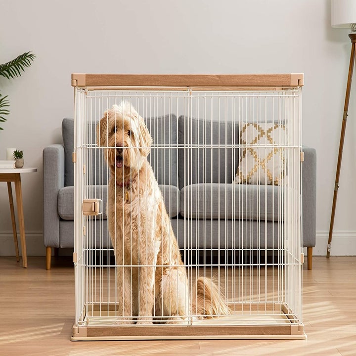 31 Pet-Friendly Products For The Home