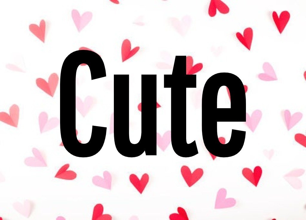 Are Promposals Cute Or Cringey? Opinions Poll