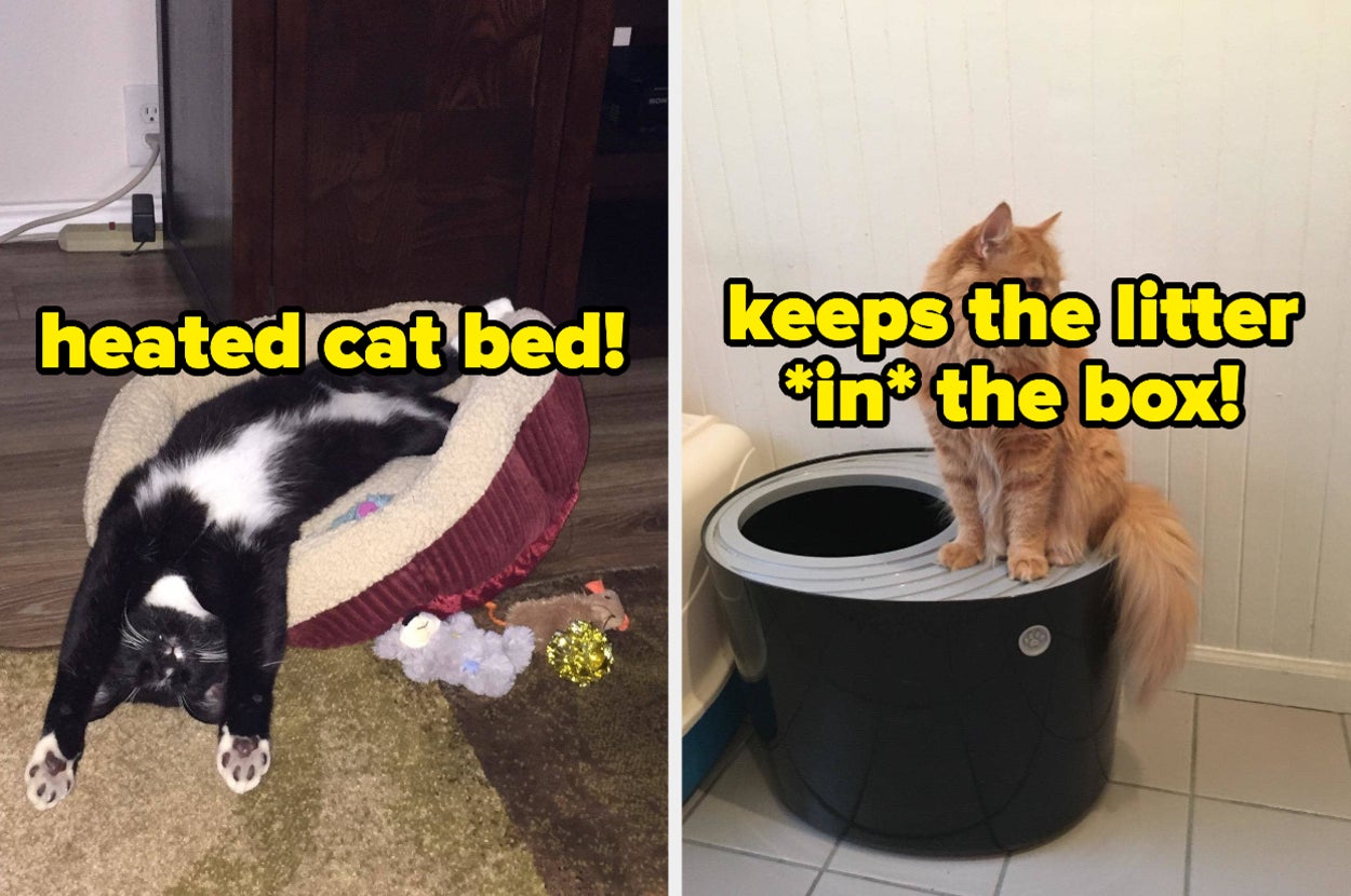 29 Practical Cat Products For Pet Owners