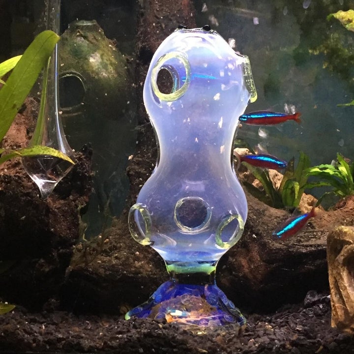 29 Cool Pet Products That Are Totally Brag-Worthy