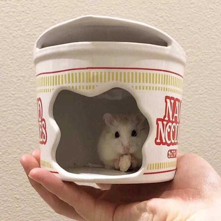 29 Cool Pet Products That Are Totally Brag-Worthy