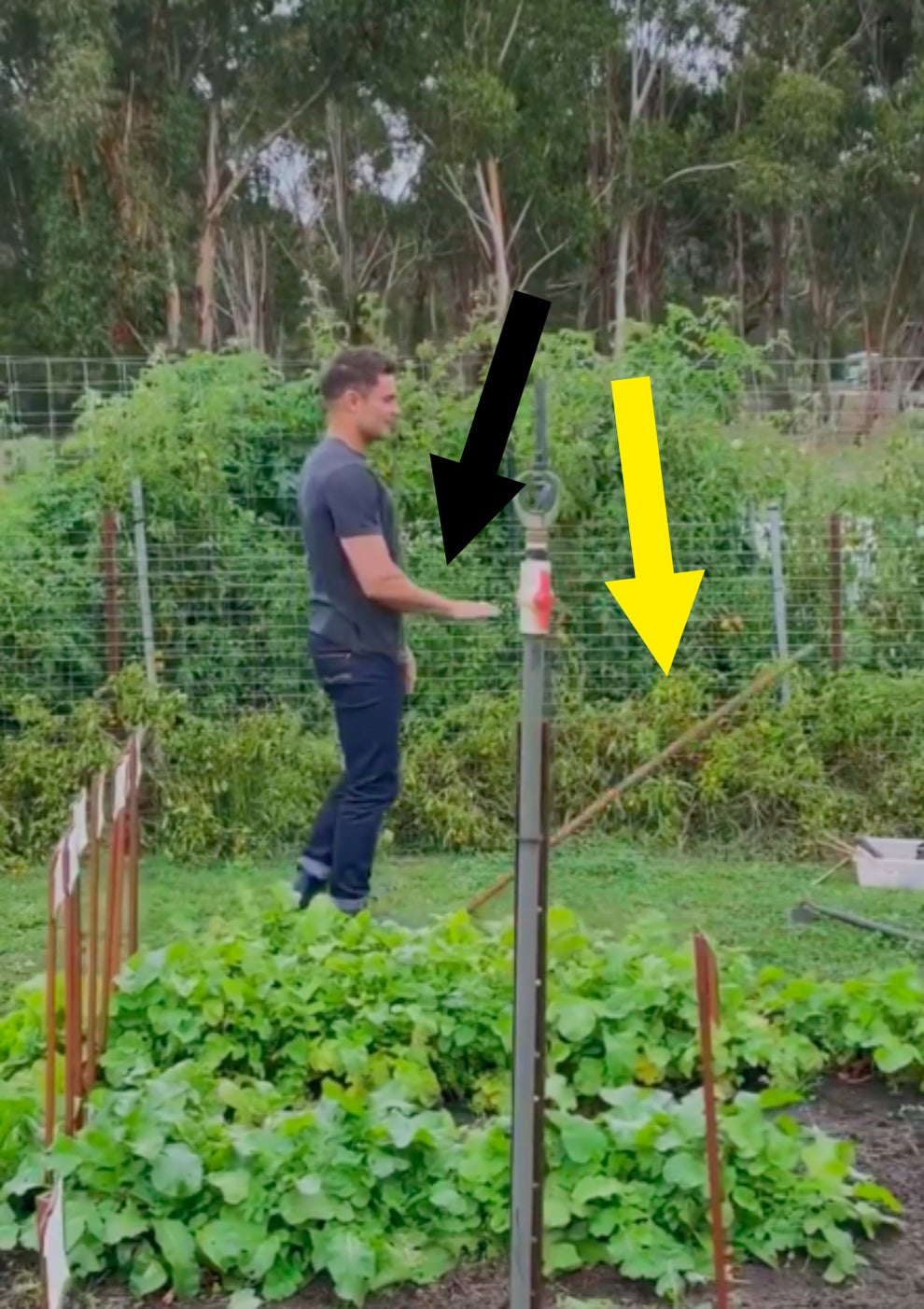Zac Efron Getting Hit With A Rake Prank Debunked