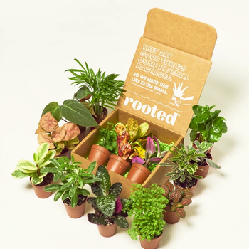 36 Gifts For Friends Who Could Use A Random Pick-Me-Up