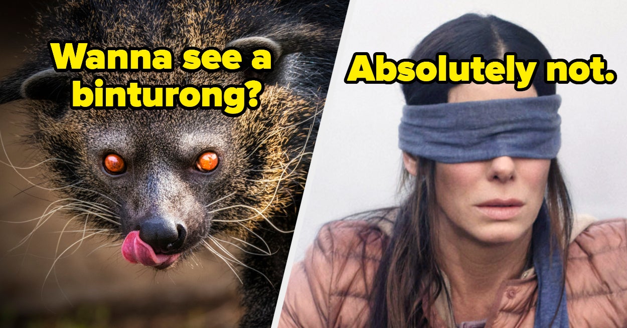 15 Horrifying Nocturnal Animals
