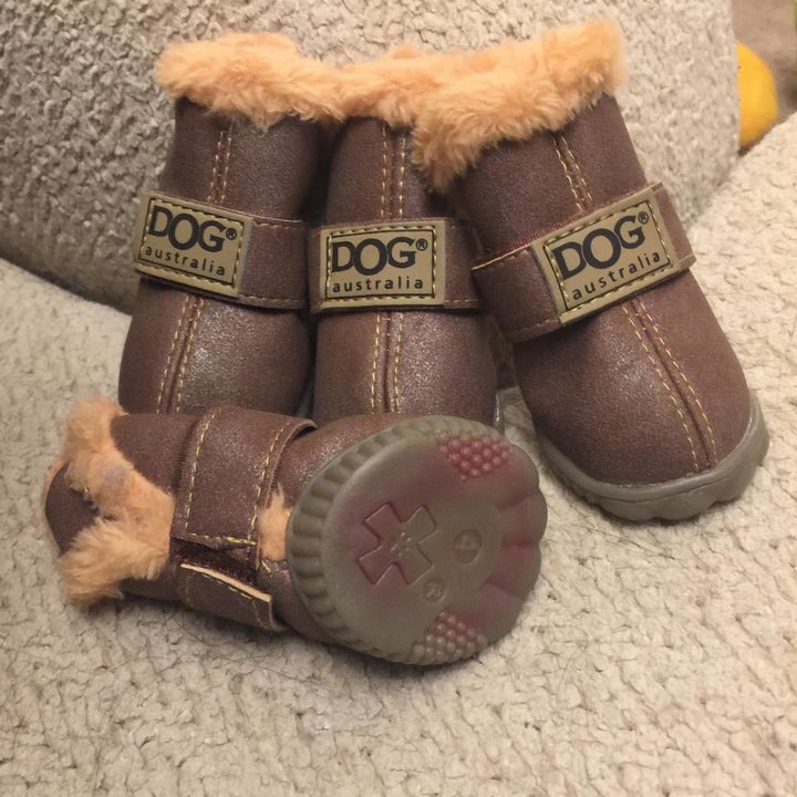 15 Best Dog Booties And Dog Shoes For All Weather