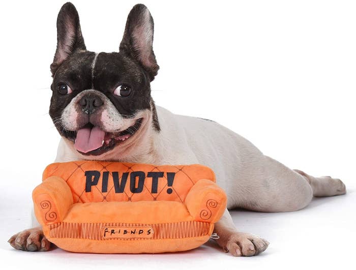 28 Amazon Pet Products For Dogs That Are Cute And Fun