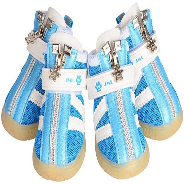 15 Best Dog Booties And Dog Shoes For All Weather