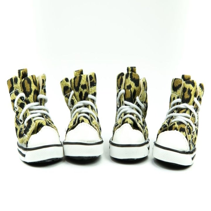 15 Best Dog Booties And Dog Shoes For All Weather