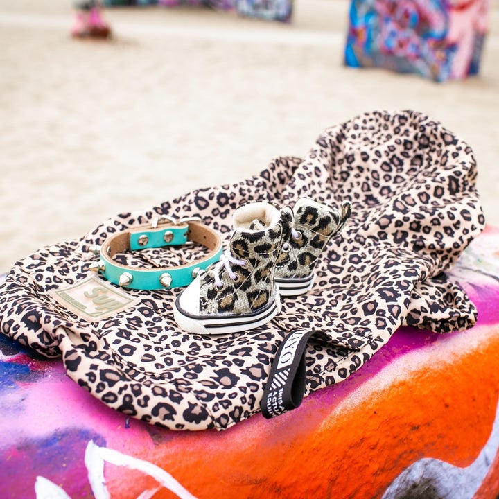 15 Best Dog Booties And Dog Shoes For All Weather