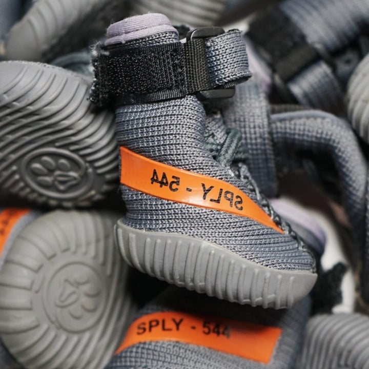 15 Best Dog Booties And Dog Shoes For All Weather