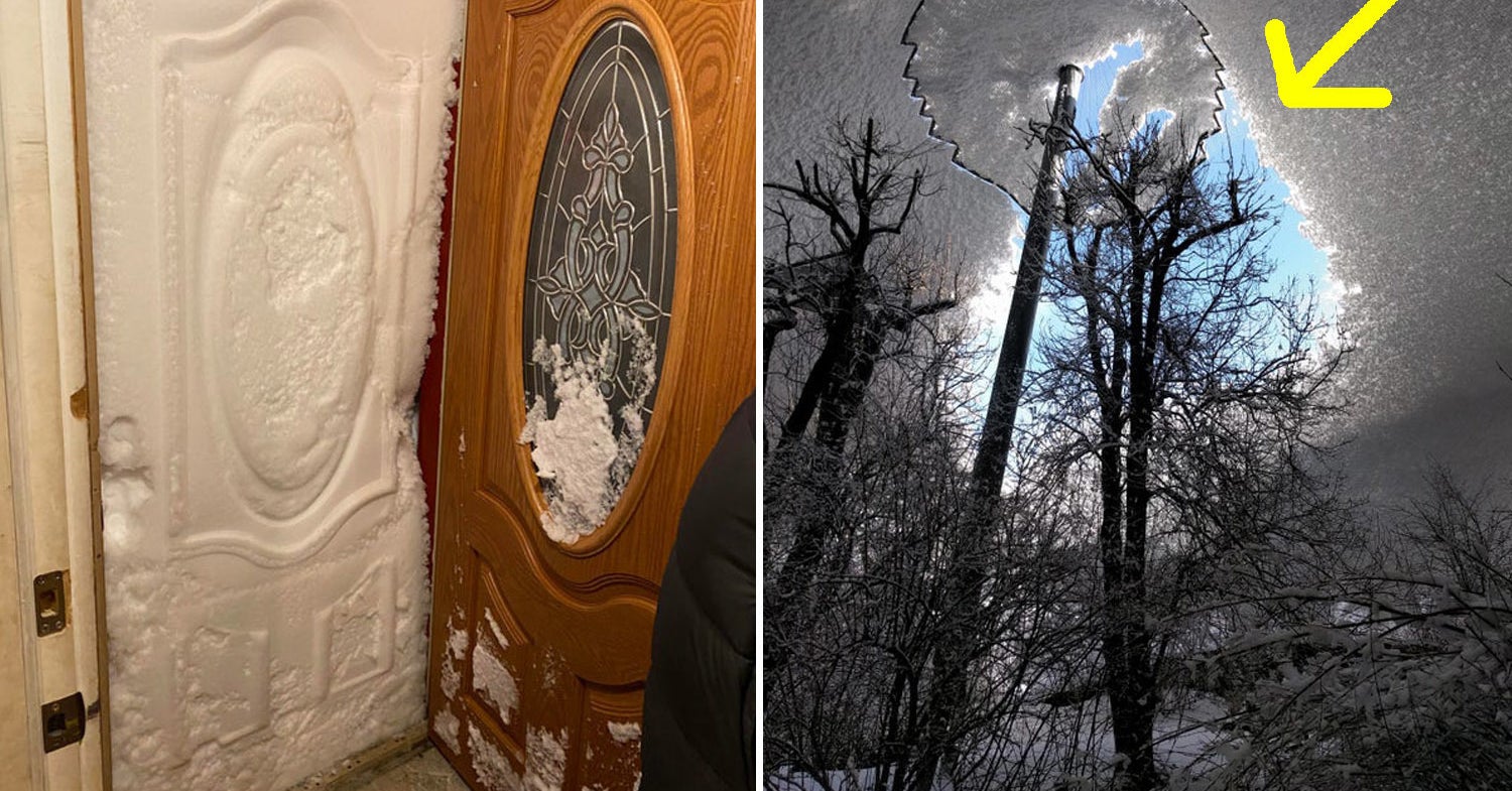 Wild Snow Pictures