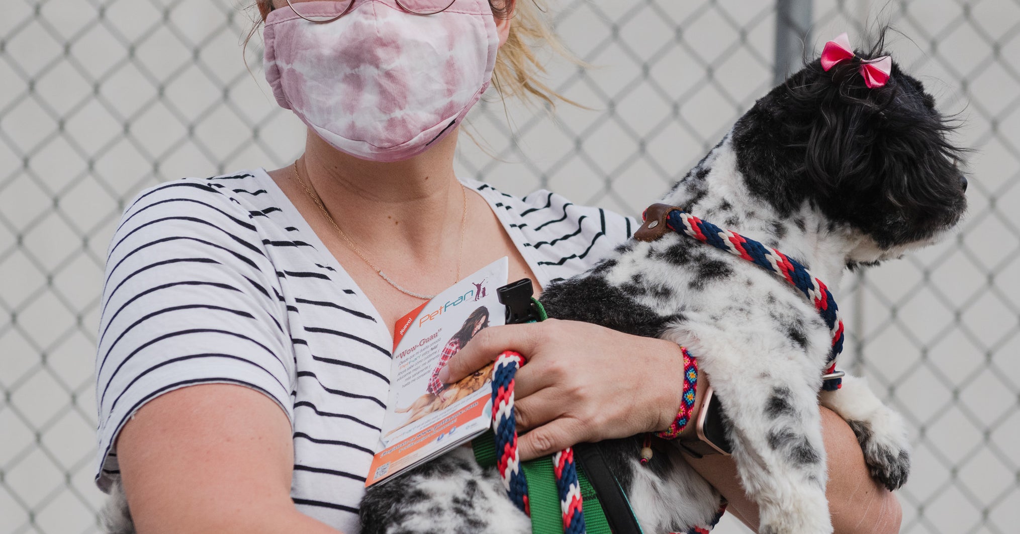 Volunteers Bring Asylum-Seekers' Pets Across US Border