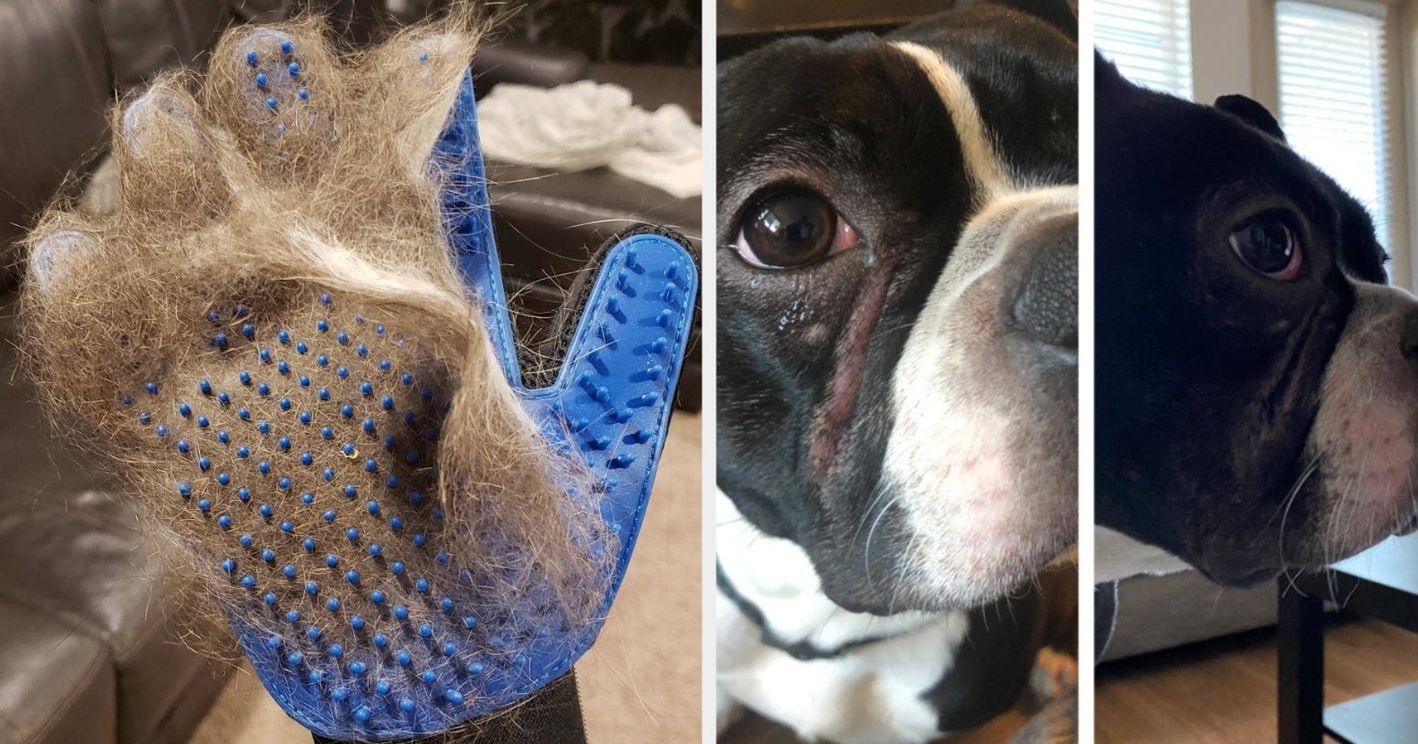 17 Pet Products From Amazon That Make Grooming Easy