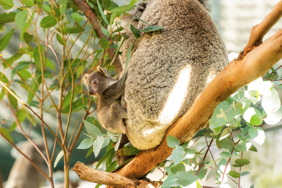 I'm Screaming In Absolute Delight At These Photos Of A Six Month Old ...