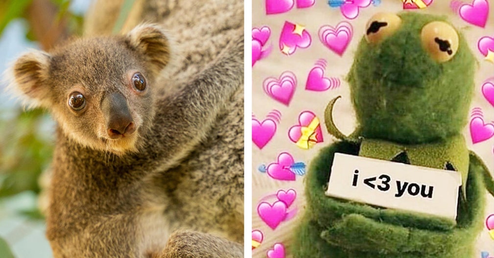 I'm Screaming In Absolute Delight At These Photos Of A Six Month Old ...