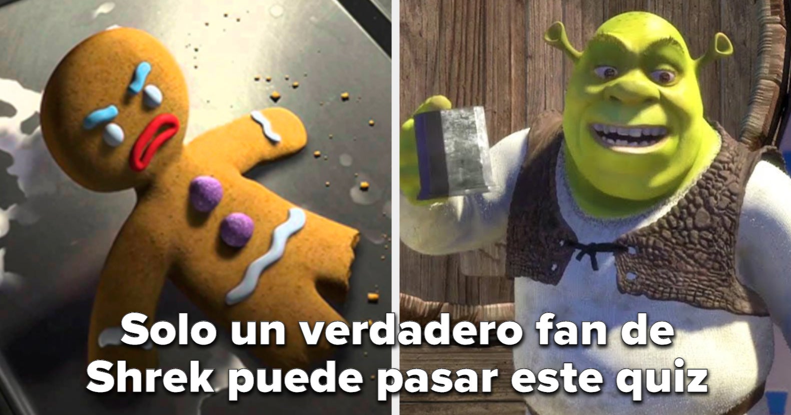 Solo si de verdad "Shrek" es tu película favorita vas a sacar más de 13 ...