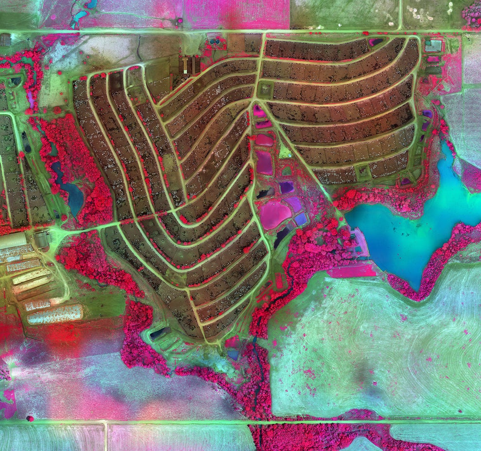 Richard Mosse Photos Of Amazon Rainforest Destruction