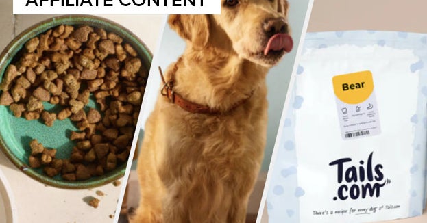 Personalised Dog Food Tailored To Your Pet's Needs