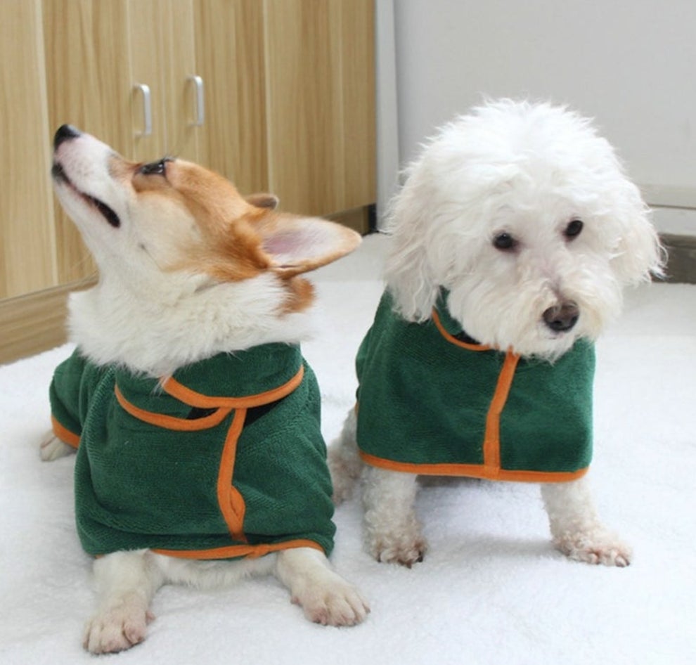 29 Products For Trendy Dogs