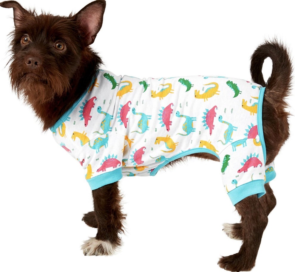 29 Products For Trendy Dogs
