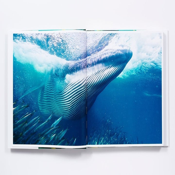 72 Best Coffee Table Books That Are Simply Stunning