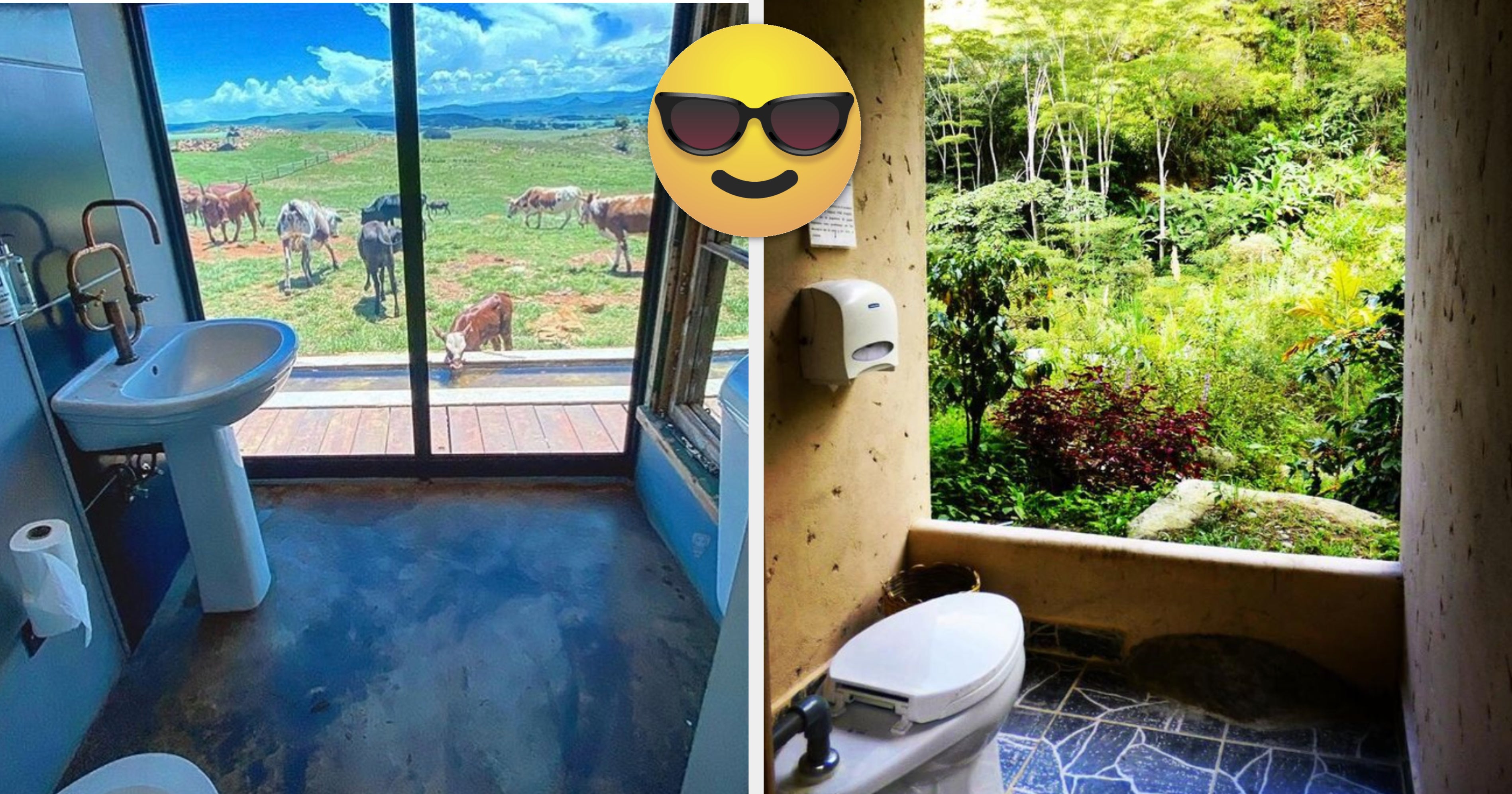 28 Excusados increíbles en los que 100% te gustaría ir al baño