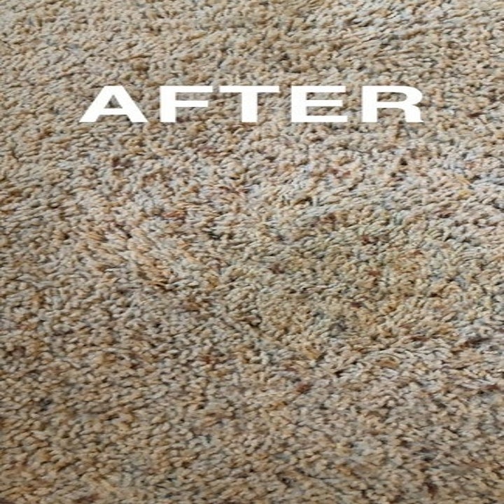 28 Things That Clean Tough Pet-Related Messes