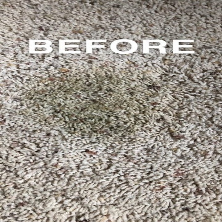 28 Things That Clean Tough Pet-Related Messes