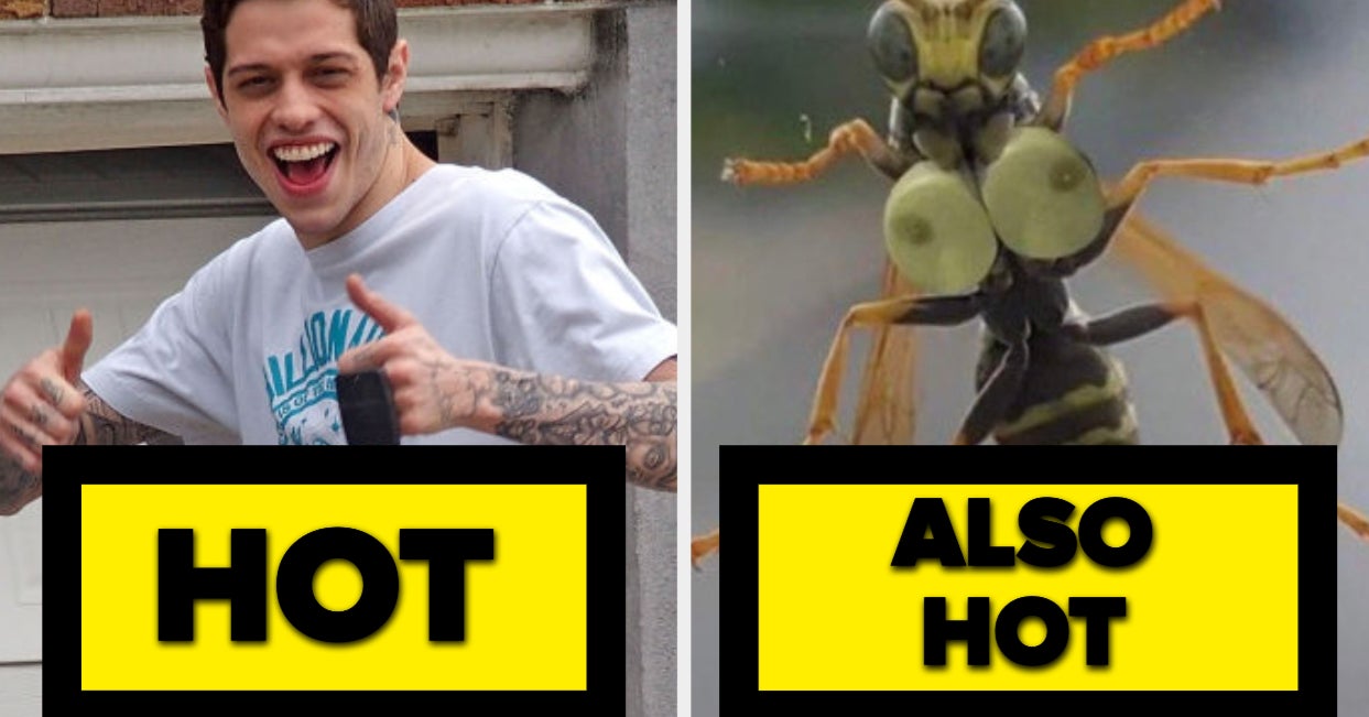 Hot Or Not: Oddly Specific People And Things