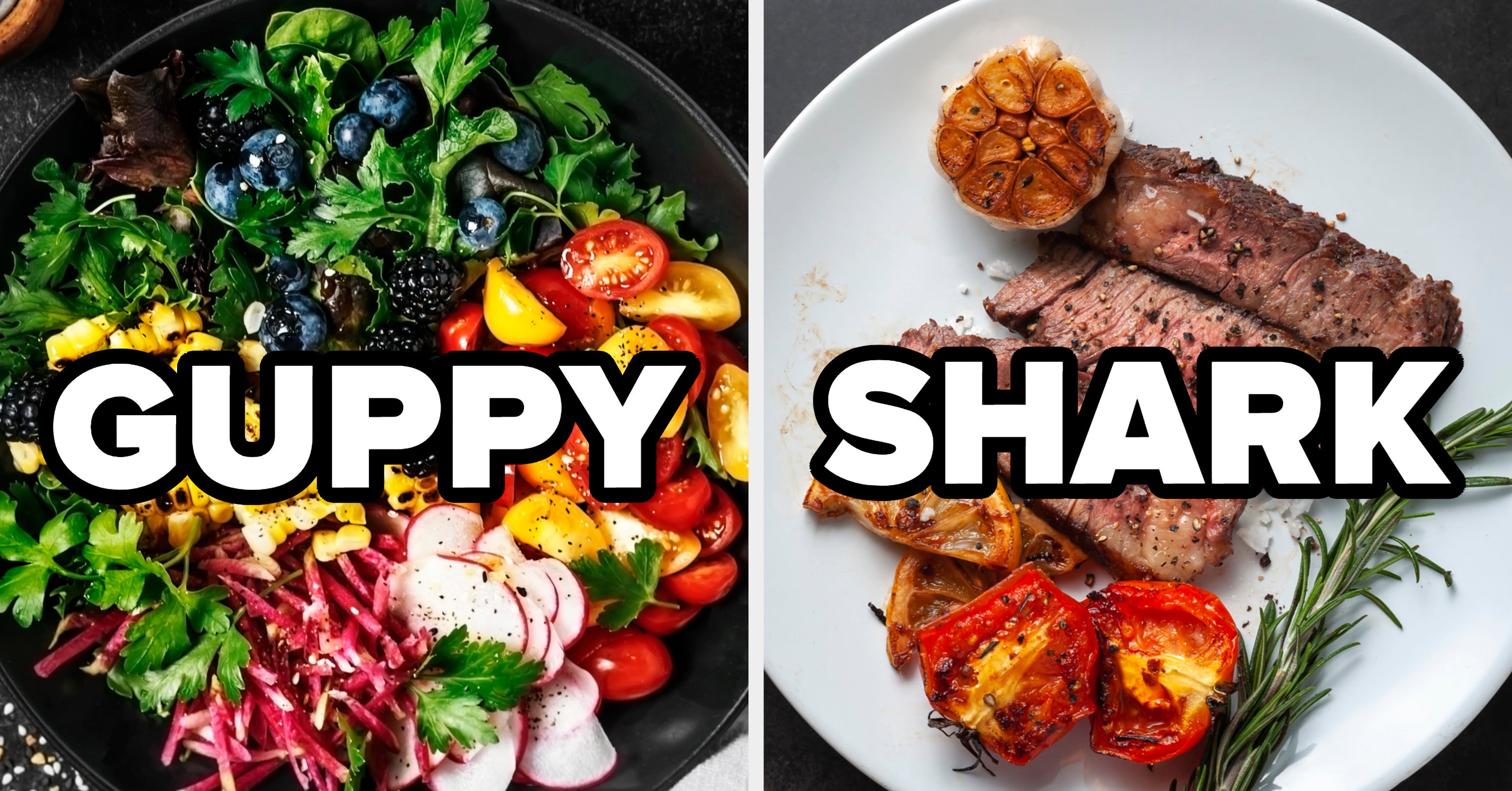 If You Were A Fish, Which One Would You Be?