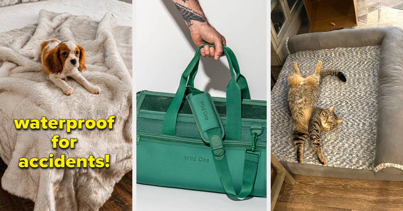 28 Splurge-Worthy Pet Products That Are Worth The Cost