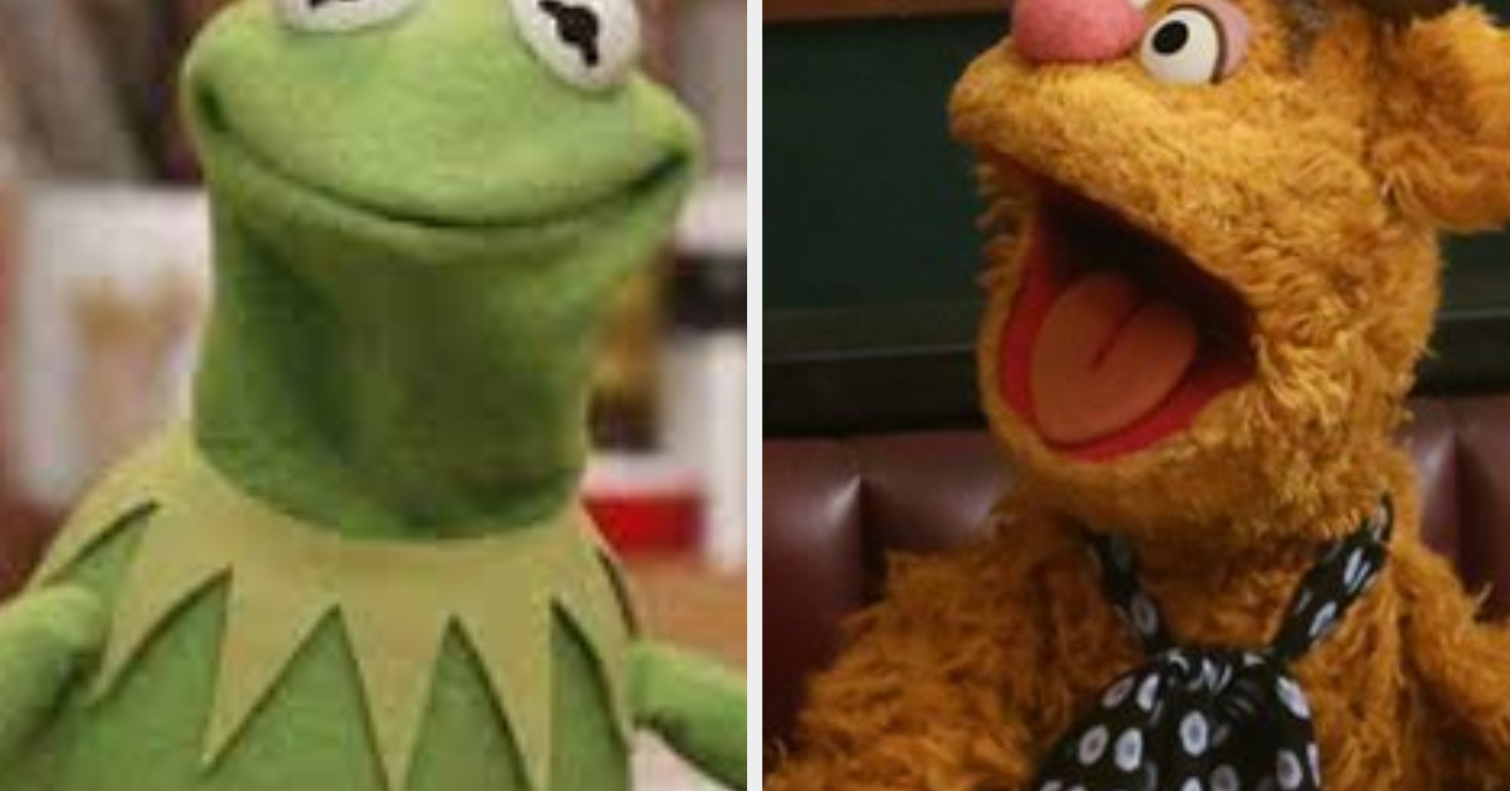 Muppet Opinions Poll
