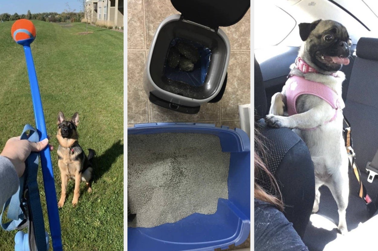 25 Pet Products On Amazon Reviewers Have Literally Called “Genius”